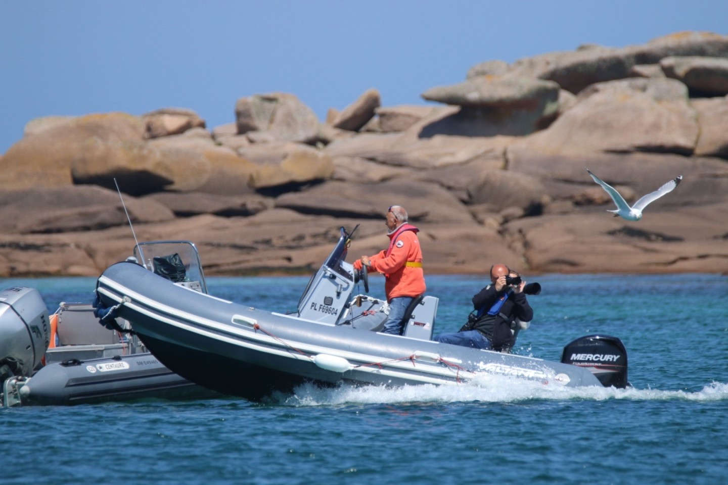 Hire a RIB Valiant 500 sport in Trébeurden (PINOCCHIO) | SamBoat