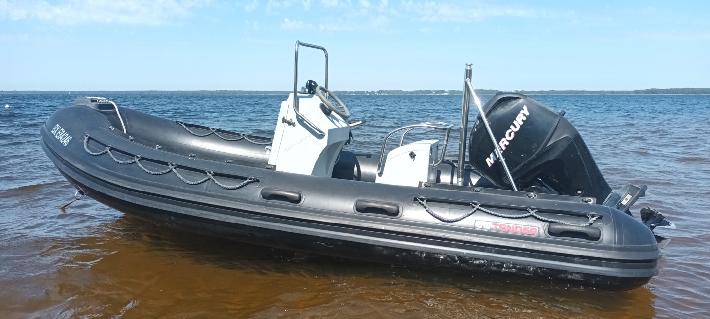 Hire a RIB 3D Tender Defender 490 in Lacanau (Semi-rigide 50CV) | SamBoat