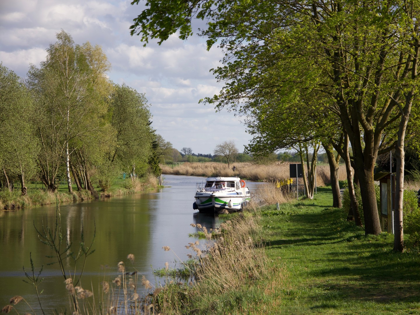 Hire a Motorboat Tarpon 37 DP in Lübz (Persephone) | SamBoat